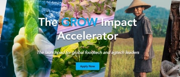 GROW Impact Accelerator 2022: Benefits, Eligibility And How To Apply ...